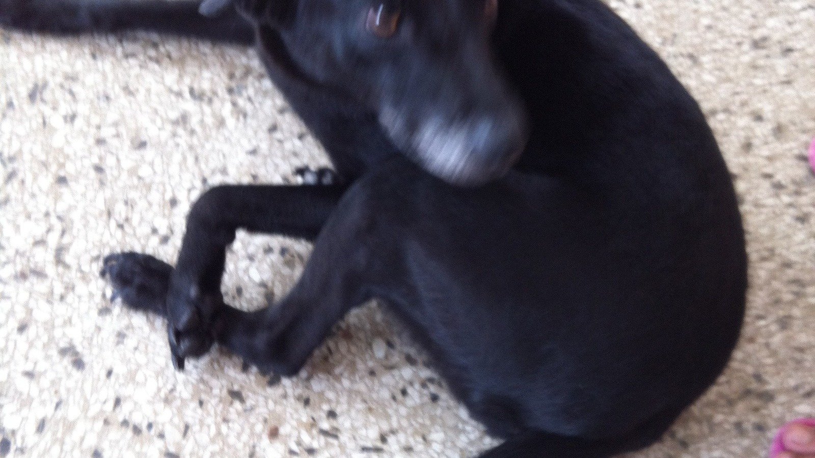 Petition · Que el gobierno cumpla con la ley 154 para evitar el ...