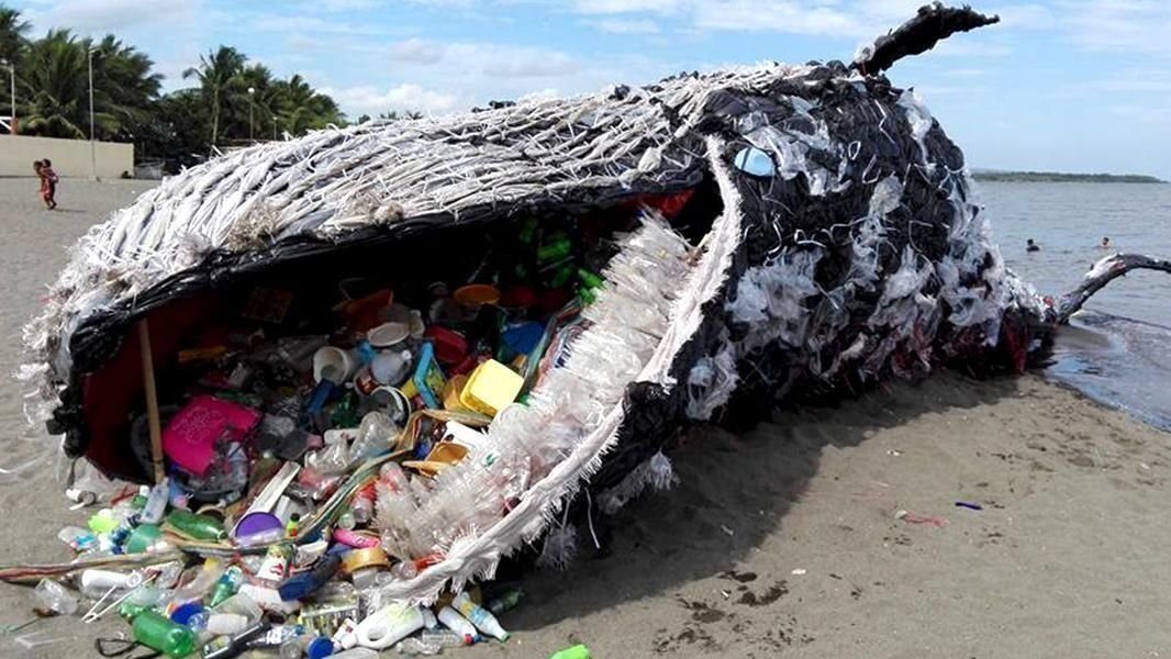 Petition · People harm marine life every day. This must stop now ...