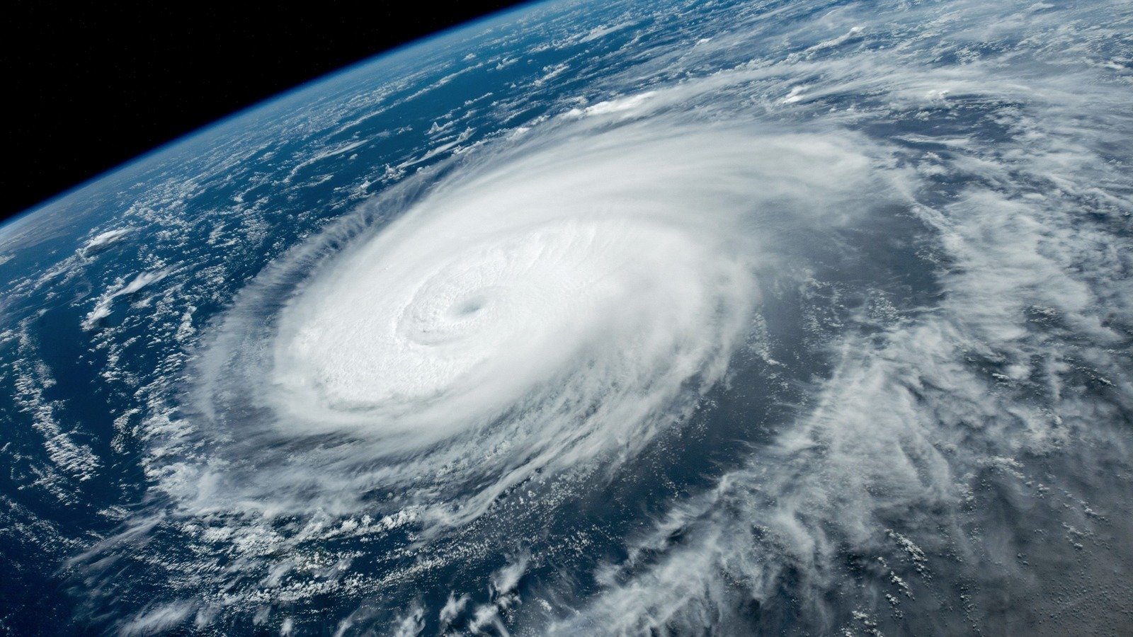 Petition · No Zoom classes on typhoon days - Hong Kong SAR China ...