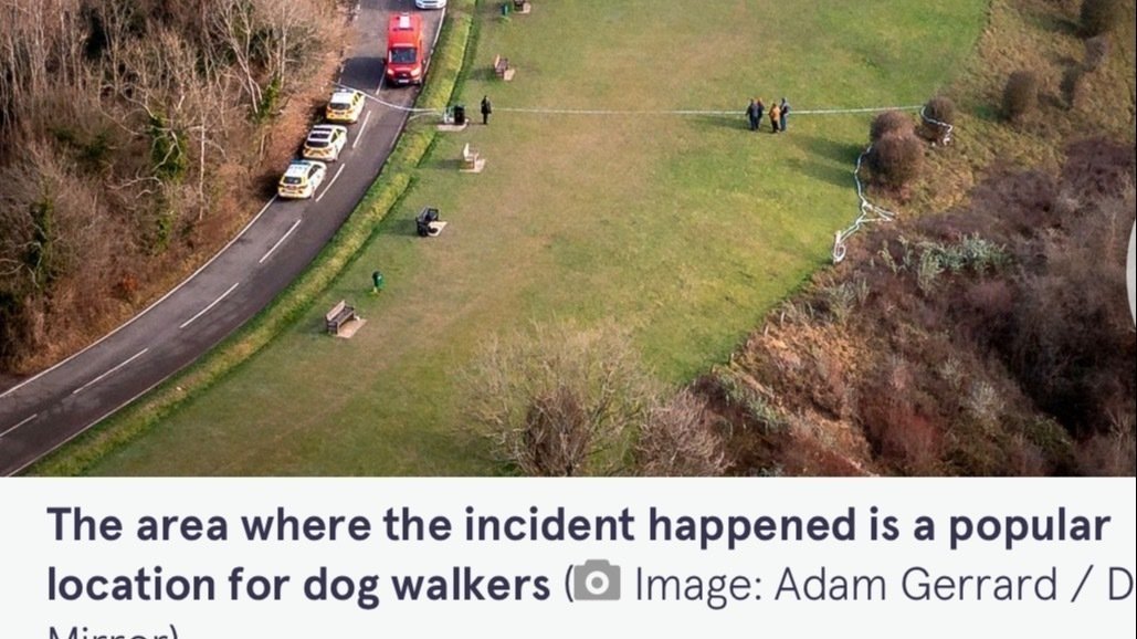 Petition · More control over uncontrolled pets. - United Kingdom ...