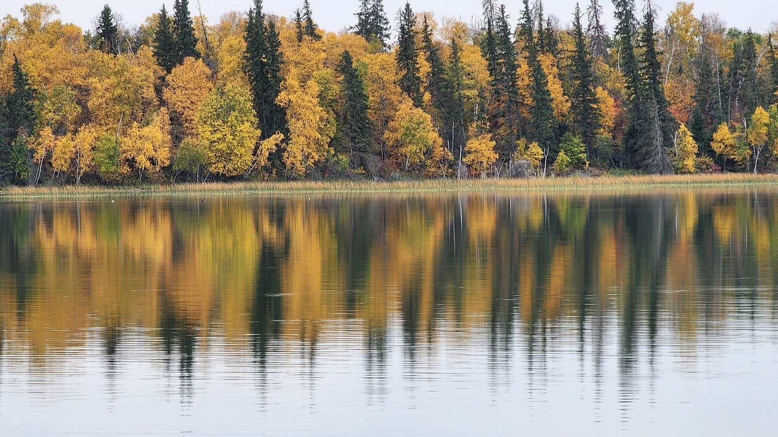 Petition · Extend the Paved Trail System to Moose Lake Provincial Park ...