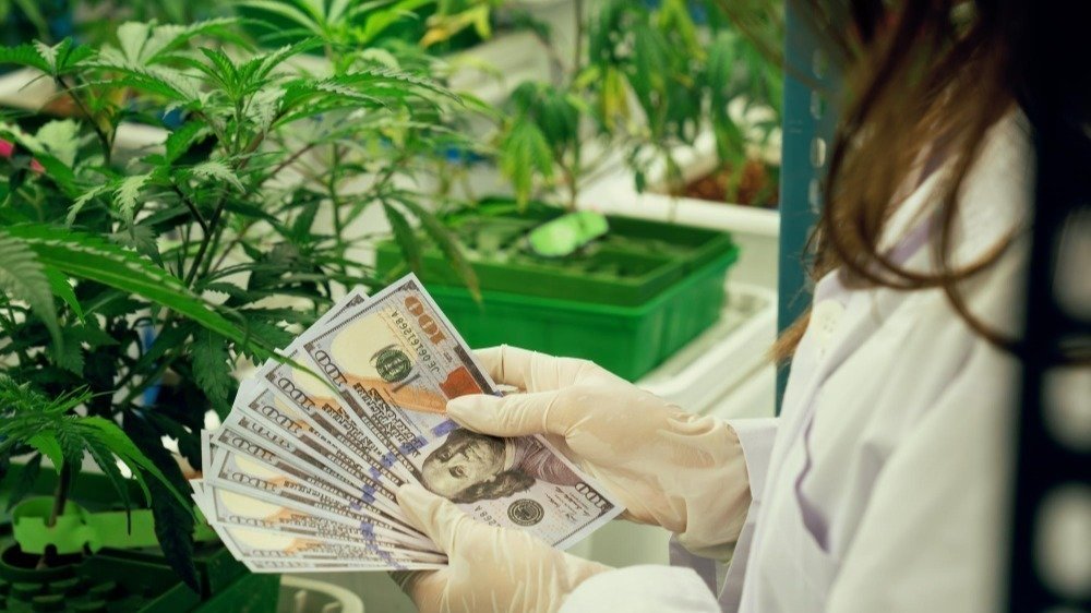 Petition · Help Pass the SAFE Banking Act & Promote Financial ...