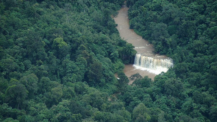 Petition · SAVE THE MT. ELGON ECOSYSTEM & WATER TOWER. Say NO to the ...