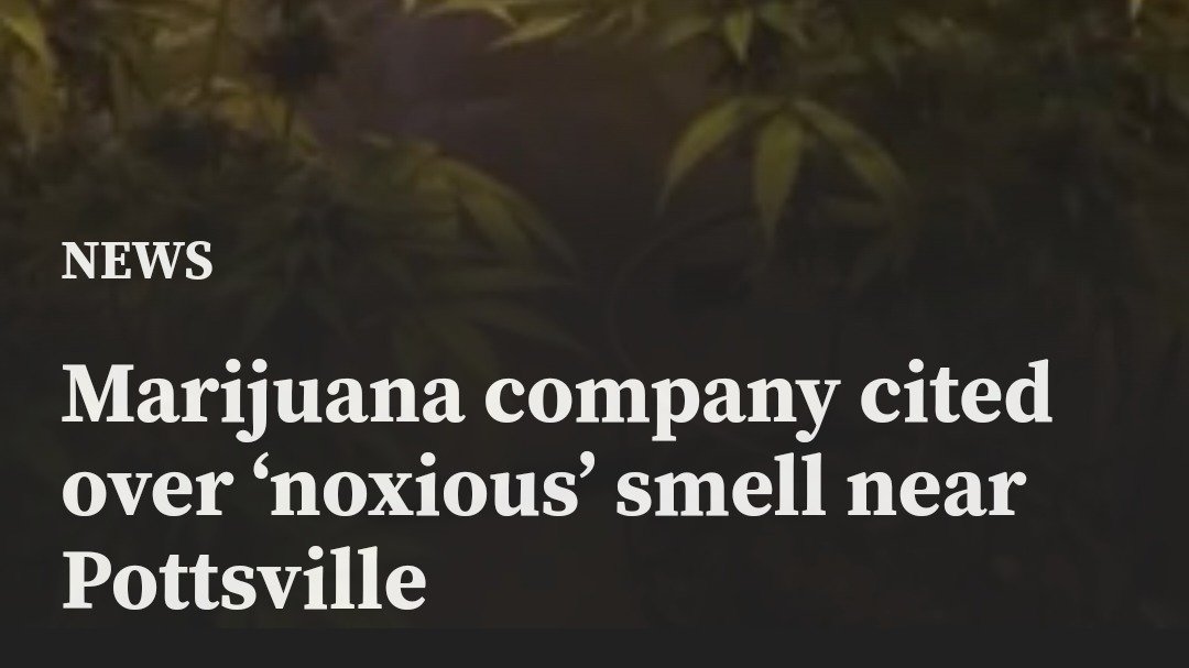 Petition · Nip it in the Bud! Schuylkill County Residents in support of Marijuana DocHouse LLC ...