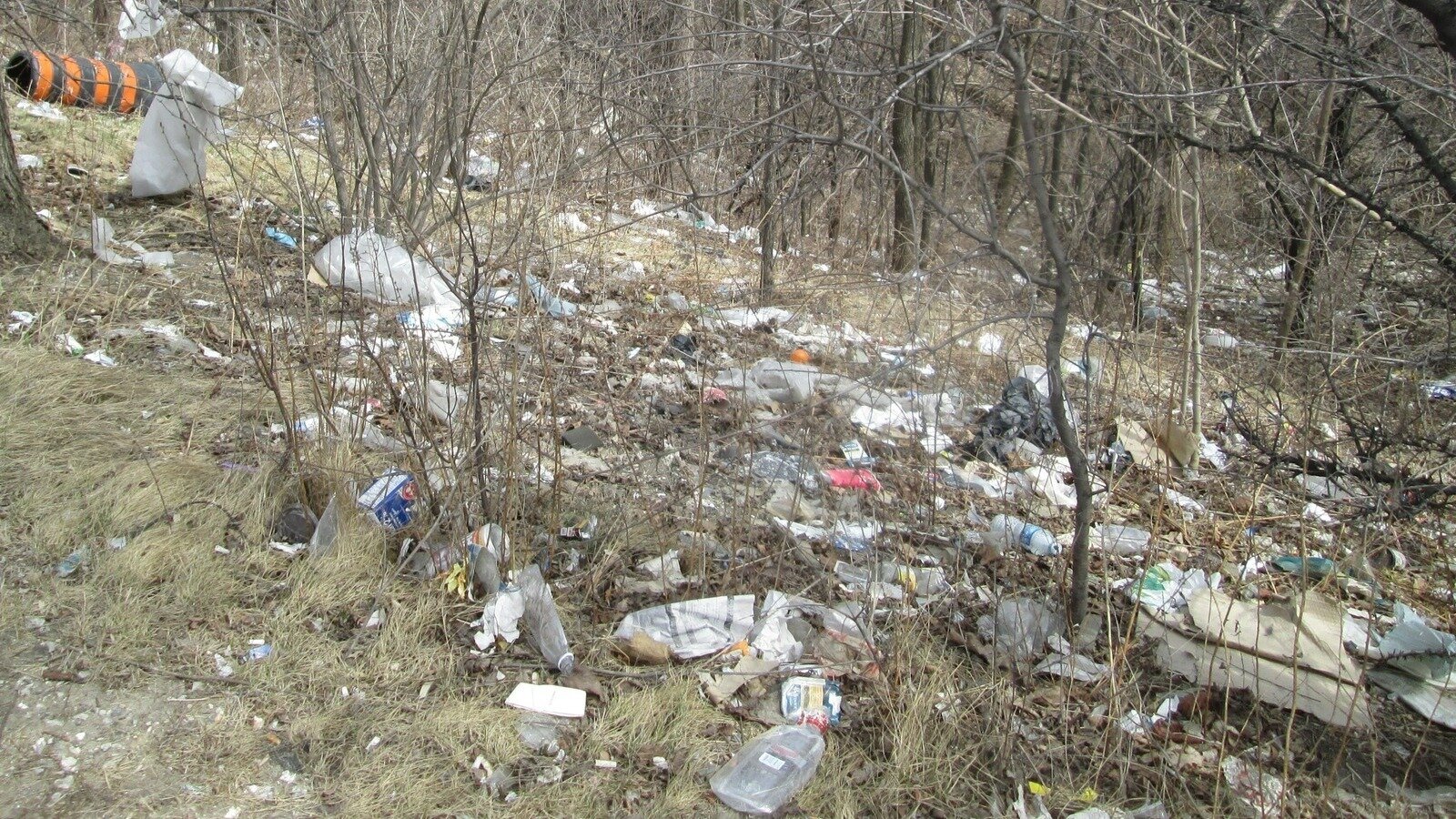 Petition · Clean Up Canada's Parks and Nature! - Cornell, Canada ...