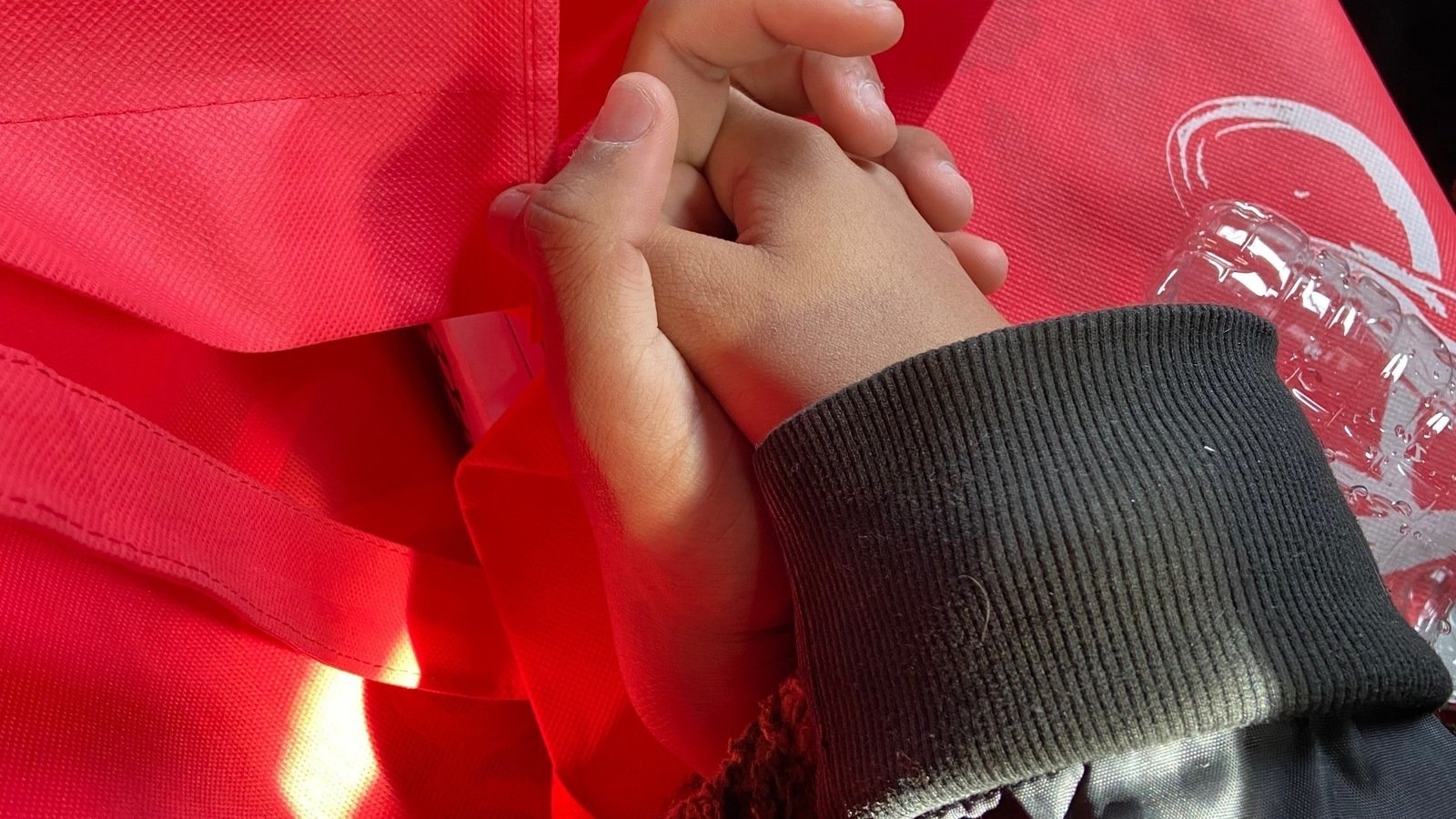 Petition · Save Elii Hirujo From Abusive Home - United States · Change.org