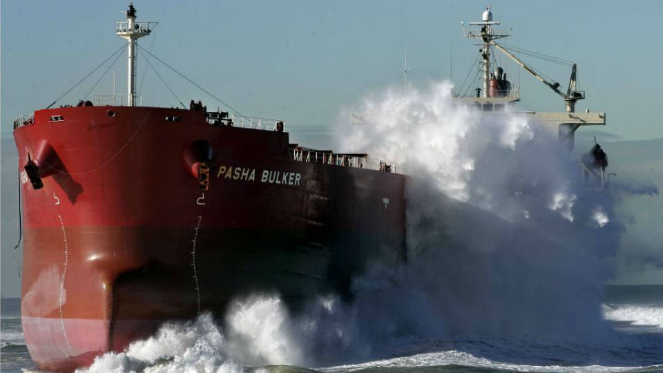 Petition · Bring back the Pasha Bulker to Nobby's Beach in Newcastle ...