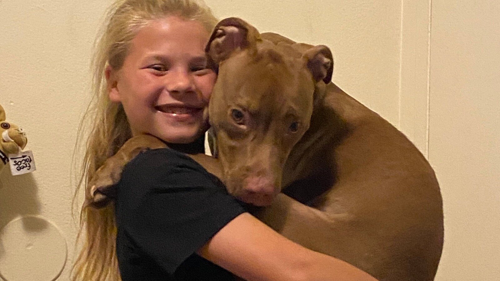 Petition update · 🚨 Amya’s Law — READ THIS 🚨 · Change.org