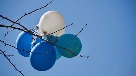 Petition · Stop the Harmful Practice of Balloon Releases - United ...
