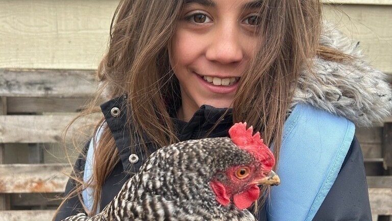 Petition · Support Backyard Chicken Keeping in Edam, Saskatchewan ...