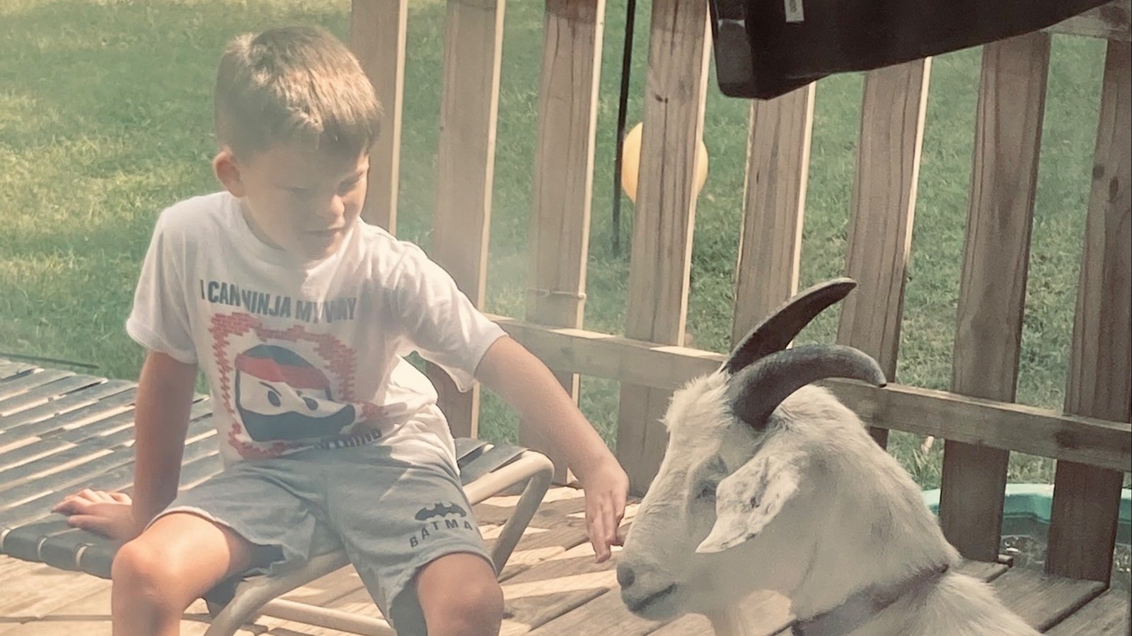 Petition · Let Kayden Keep His Fully ESA Legal animal! Please Sign and ...