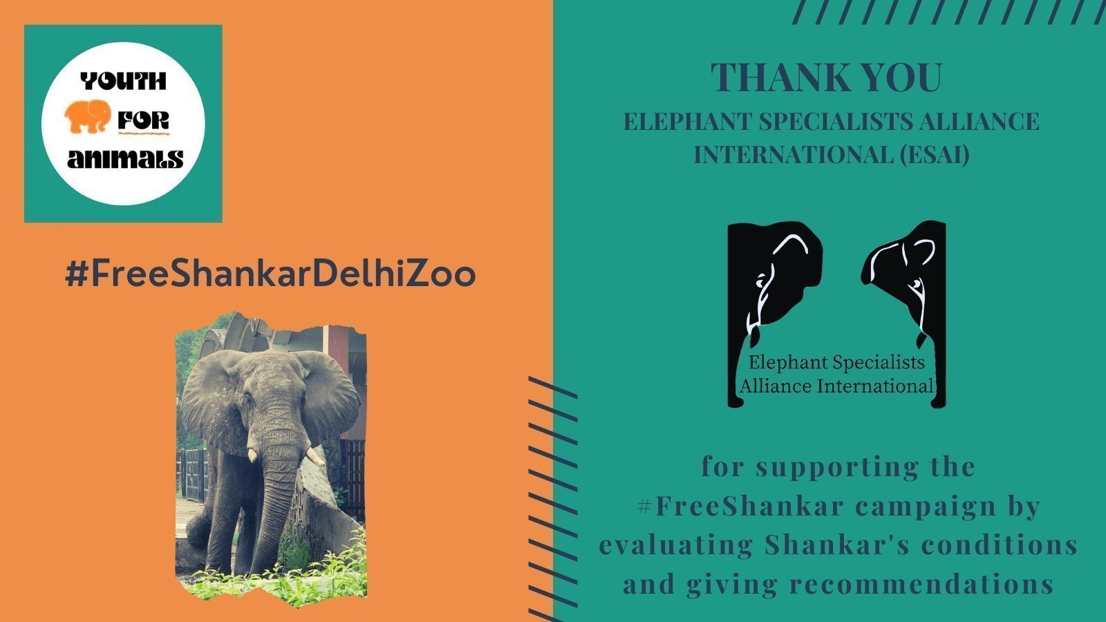 Petition update · Elephant Specialists Alliance International (ESAI ...