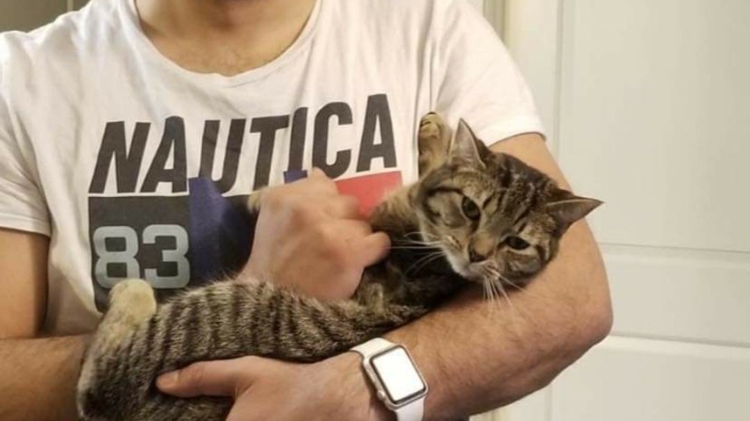 Petition · Let Laith keep his cat - United States · Change.org