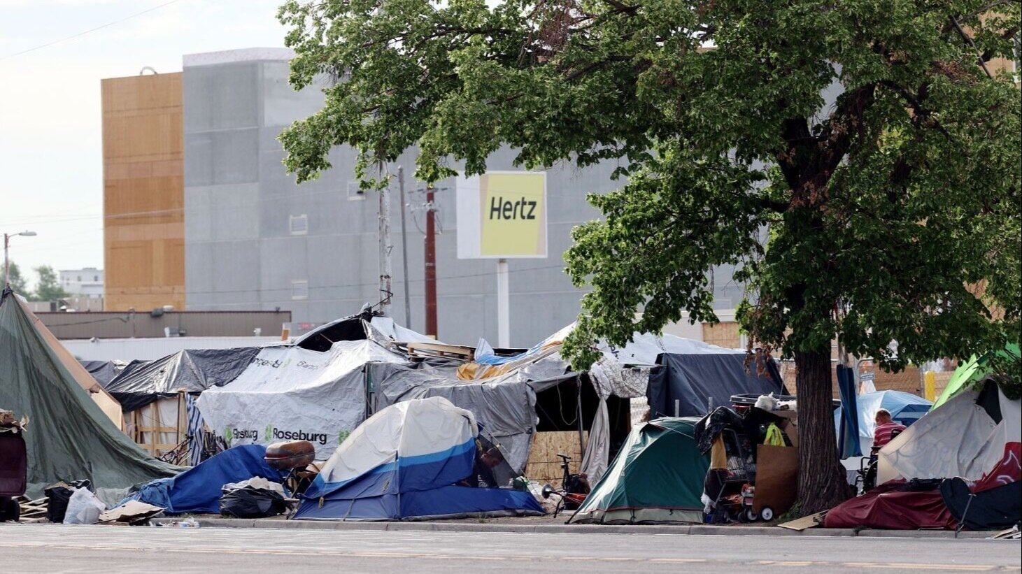 Petition · Establish Resources and a Refuge for the Homeless in South ...