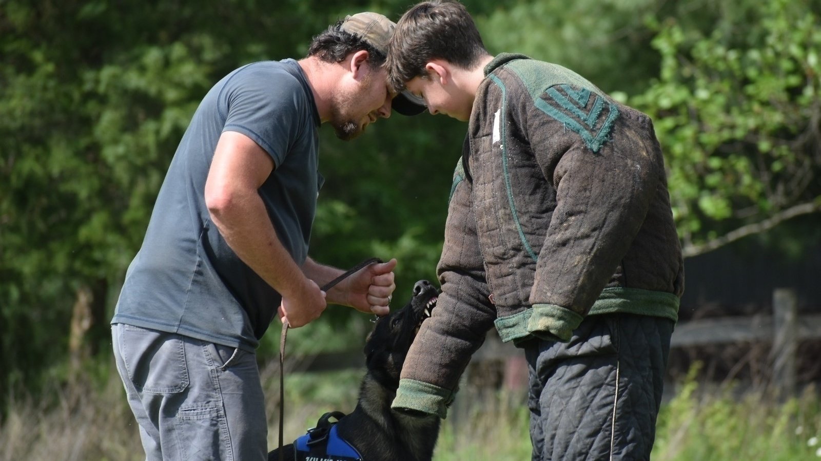 Petition · Reinstate Tyler Boyer to WDA - United States · Change.org