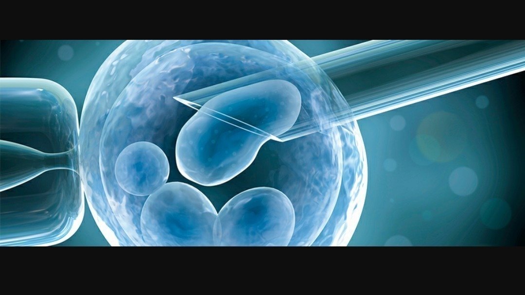 Petition · IVF/NHS - Women should have the right to have more than one ...