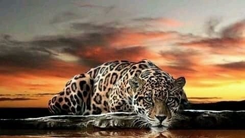 Petition update · Woo hoo 95 Supporters ..keep it going · Change.org ...