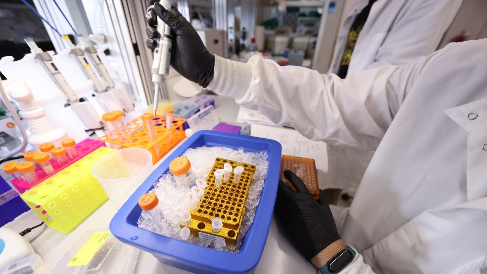 Petition · Petition to Reverse the NIH Indirect Cost Cap (NOT-OD-25-068 ...