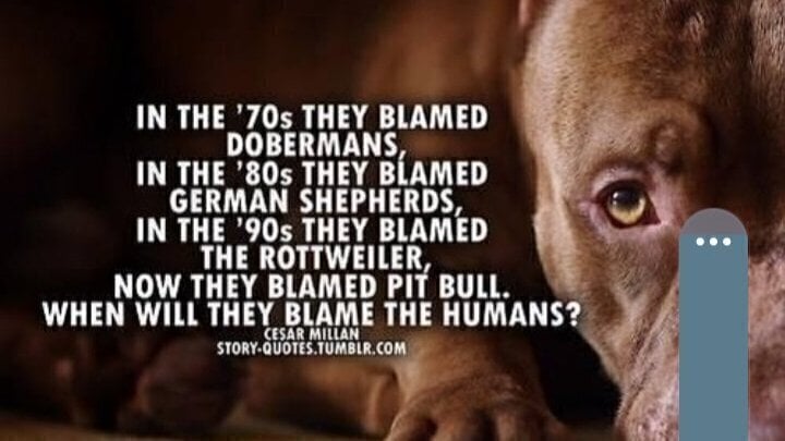 Petition · Breed bans - United States · Change.org