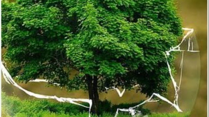 Petition · Right to have a clean and healthy environment - Philippines ...