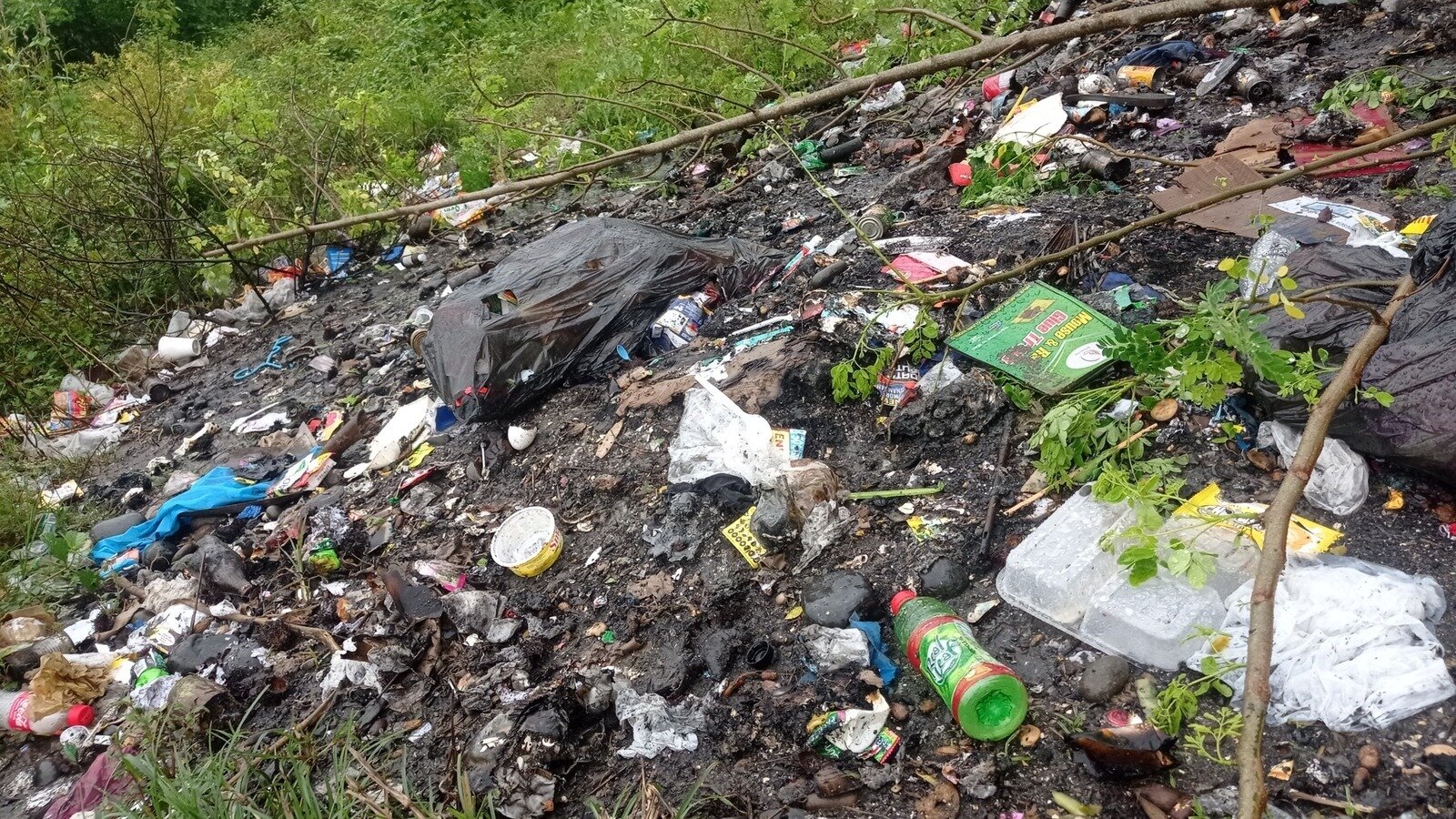 Petition · Dicamay 2 Jones Isabela: Petition for Improved Waste ...