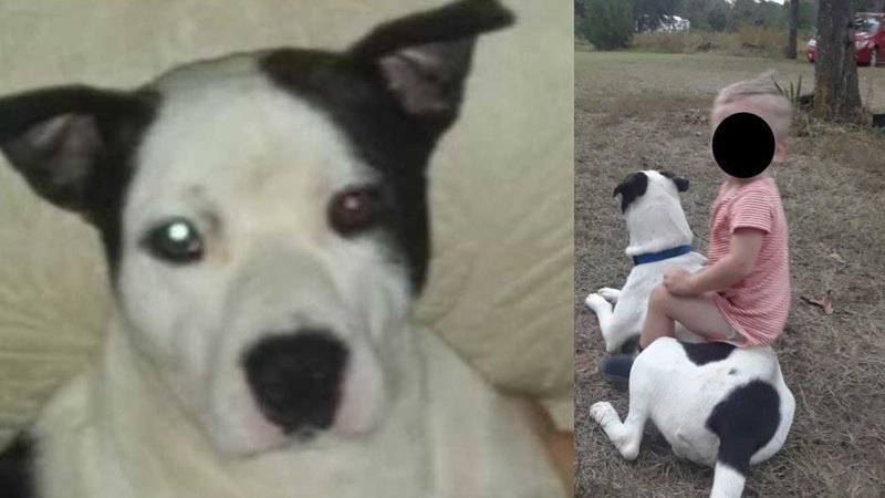 Petition · Demand the resignation of Faulkner County Sheriff Tim Ryals ...