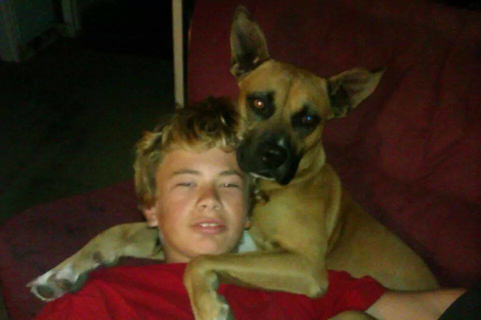 Petition · Investigate Dog Control and Seizing Procedures within the ...