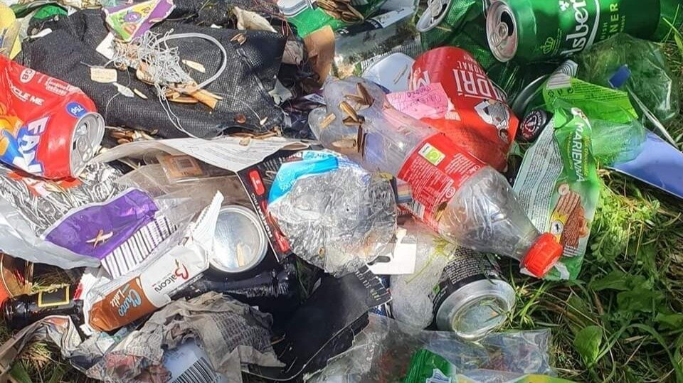 Petition · STOP THE FISHING GANGS, Make Fishing at Berry Head Quarry ...