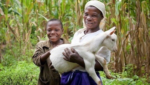 Petition · Join Heifer International and help families build a better ...