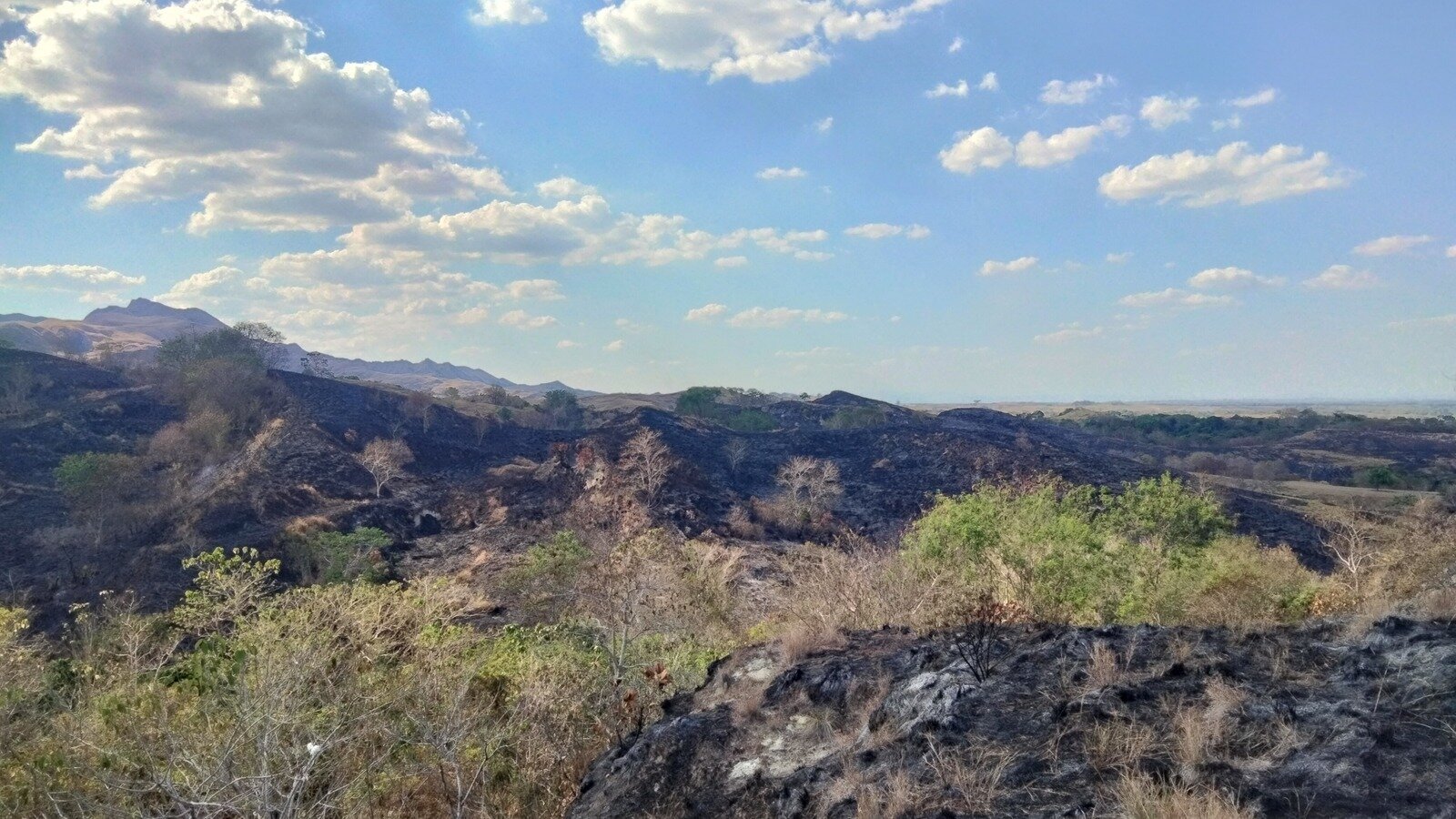 Petition · Burning a mountain for kaingin purposes - Rizal, Philippines ...