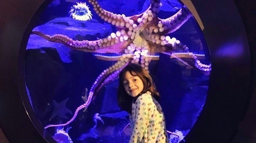 Petition · Bigger tank enclosure for octopus at Camden Aquarium ...