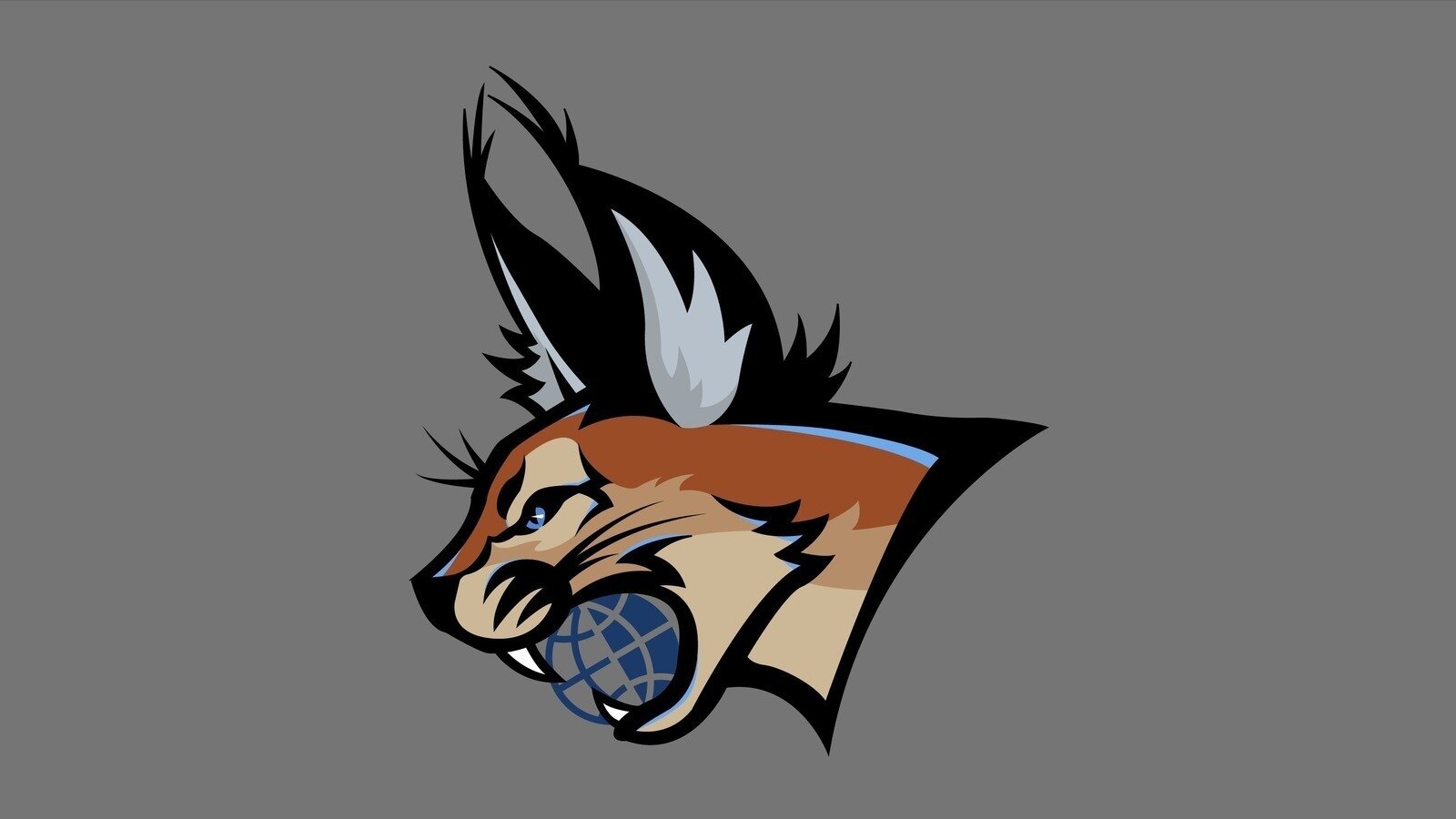 Petition · Implement Davis Catalyst Center Mascot (Catalyst Caracals ...