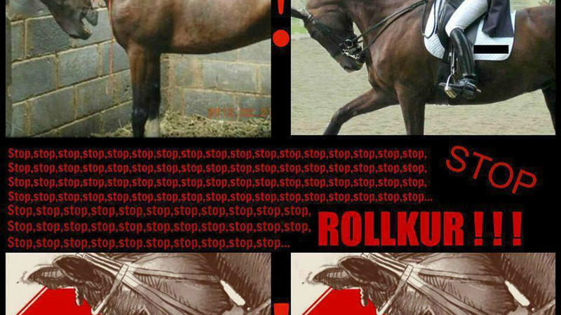 Pétition · entité gouvernale: Arrêter la figure "rollkur" en dressage ...