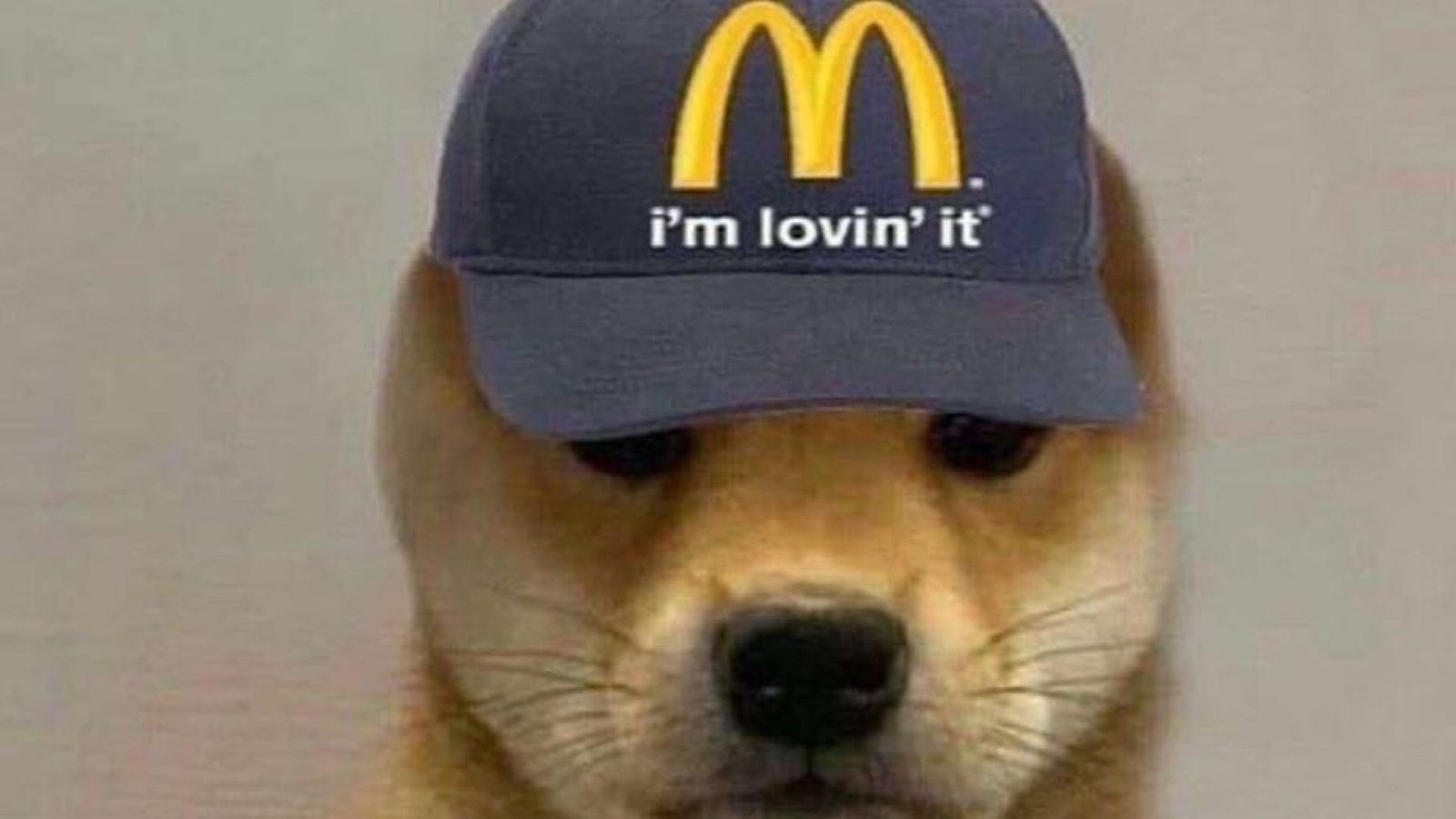 Petition · Replace the Happy Meal toy with a Dogecoin for financial ...