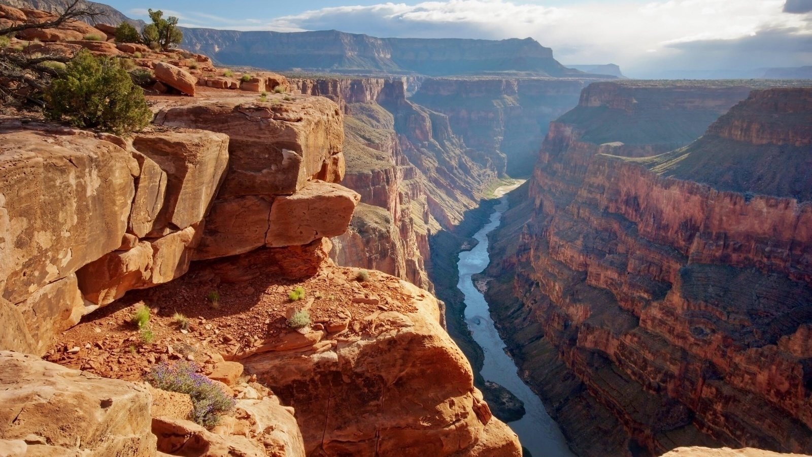 Petition · Fill the Grand Canyon with trash - United States · Change.org