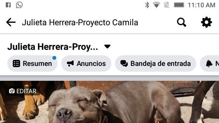 Petición · Respeto y apoyo al refugio Julieta Herrera-proyecto Camila - México · Change.org
