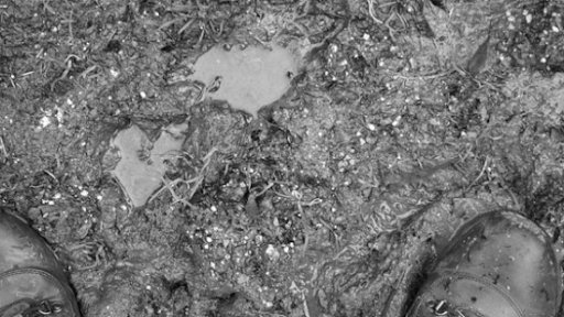 Petition · Limit Wellington's Southern Landfill and stop burying sewage ...