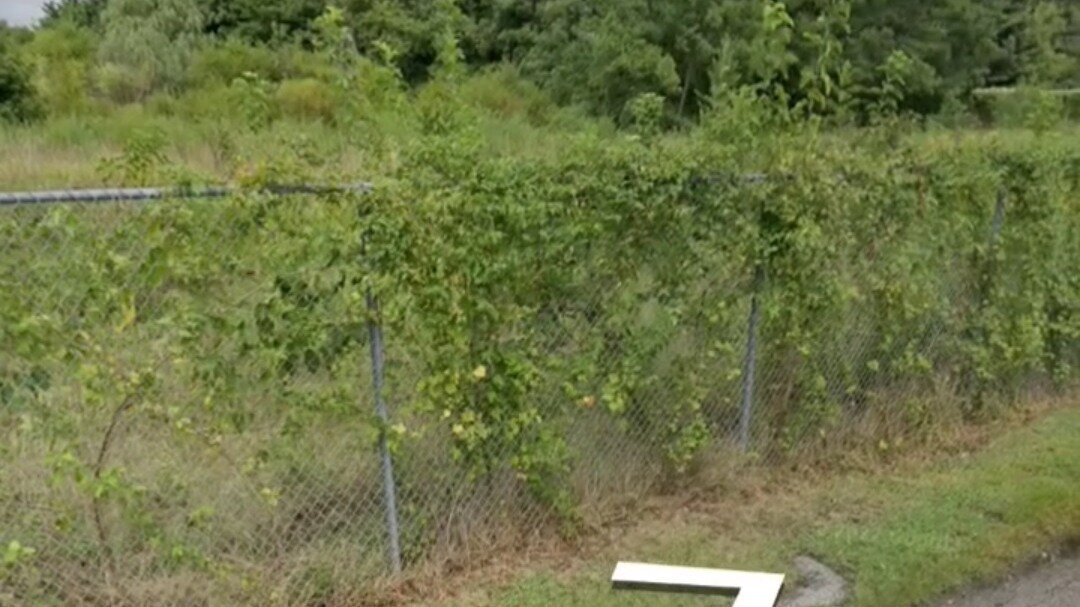 Petition · Transform Unmaintained Field into a Community Fishing Ground ...