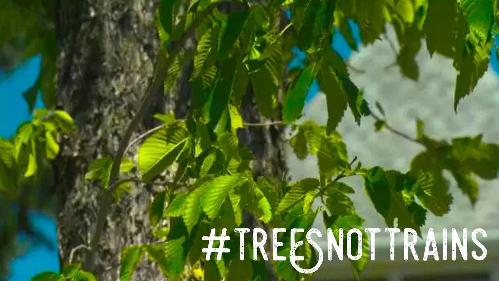 Petition · Trees not Trains - Amend the Route! - Edmonton, Canada ...