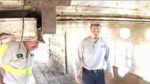 Petition · STOP Inhumane American Horse Slaughter and PASS the SAFE Act ...