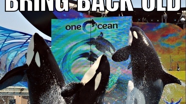 Petition · Seaworld fight the orca show ban - United States · Change.org