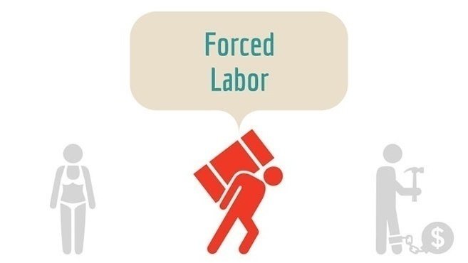 Petition · Support Fair & Humane International Labor Conditions ...