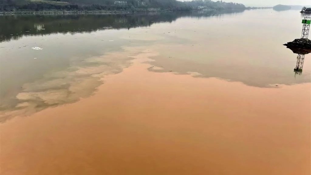 Petition · Stopping the discharge of turbid water into the Esopus Creek ...