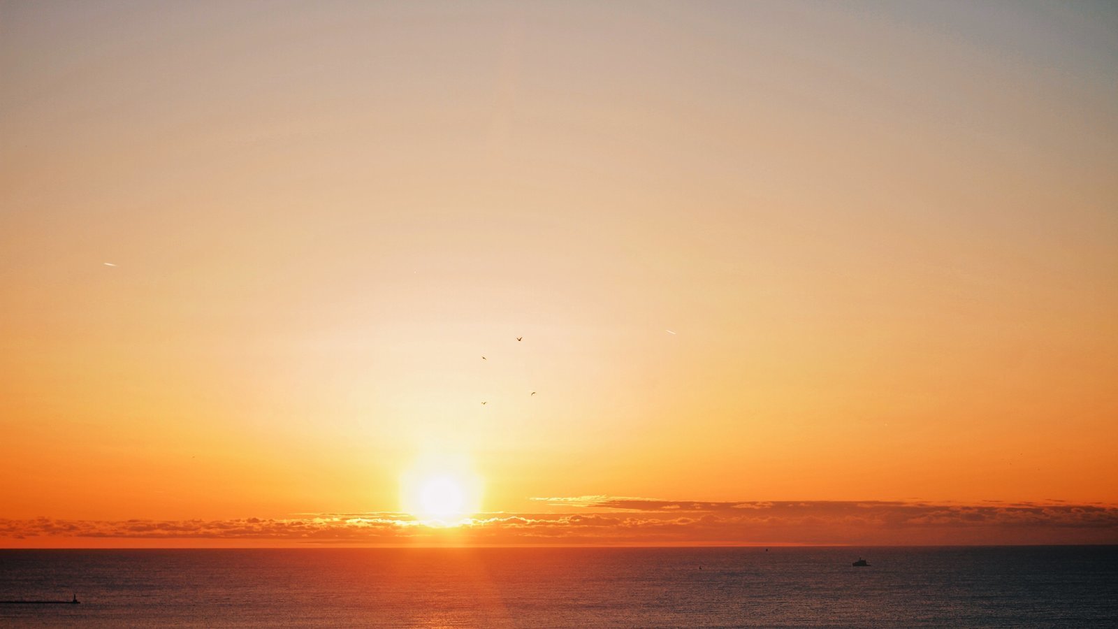 Petition · Stop moving the clocks back. Stay on Daylight Savings Time ...