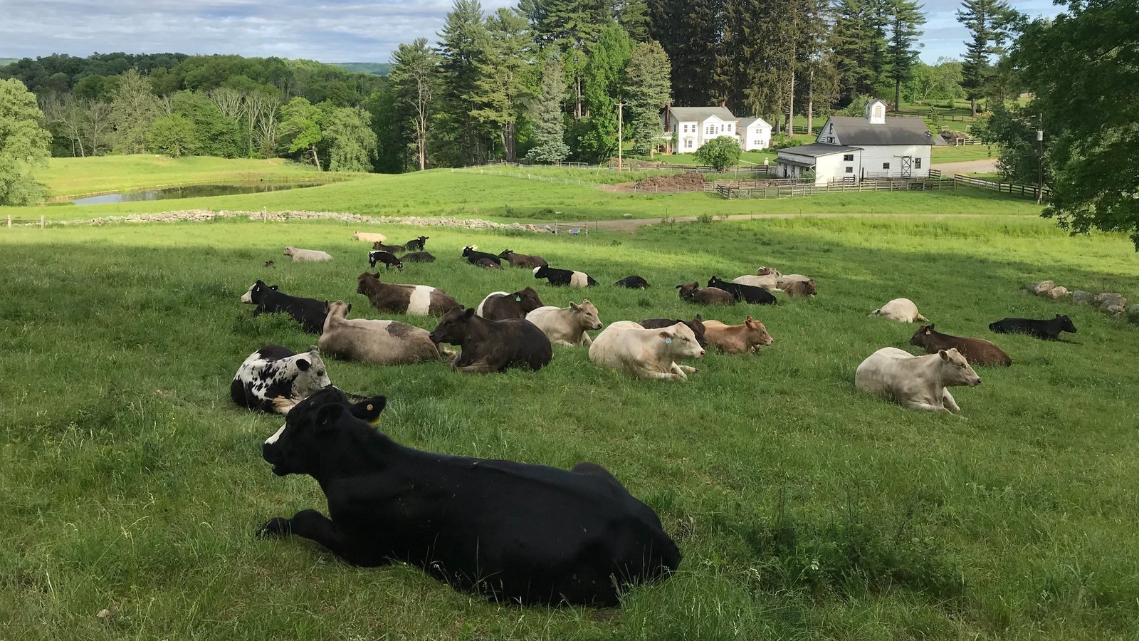 Petition · Help us grow - United States · Change.org