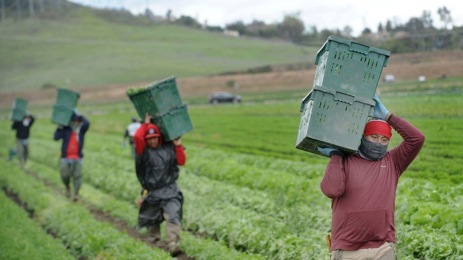 Petition · STOP The White House From Lowering Foreign Guest Farmworker ...