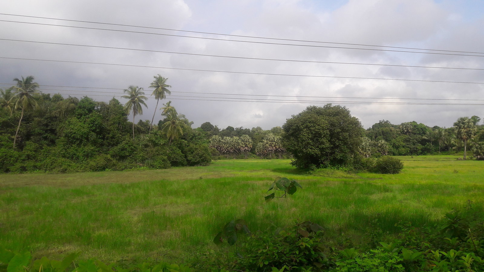Petition · Save our land from the MRPL: The farmers cry - Mangaluru ...