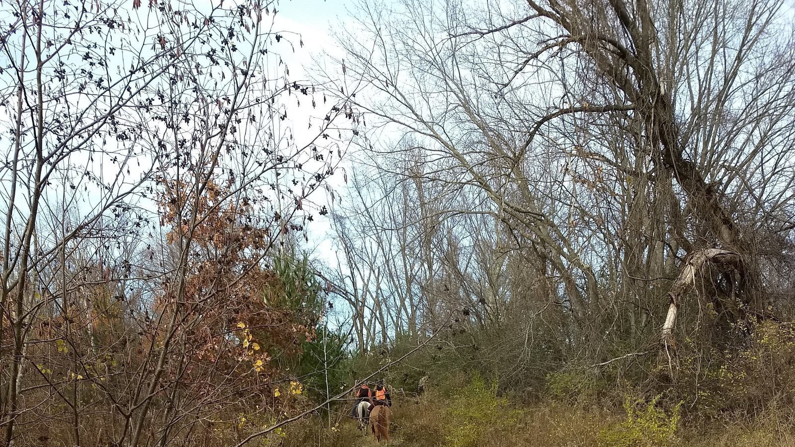 Petition · Please help to save public trails in Brandon VT! - Brandon ...