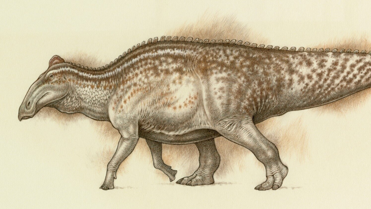 Petition · Make "Edmontosaurus annectens" the State Dinosaur of North ...