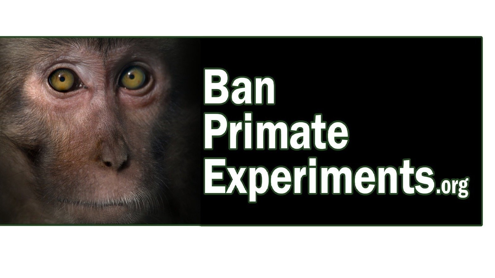 Petition · Ban Primate Experiments! - Australia · Change.org